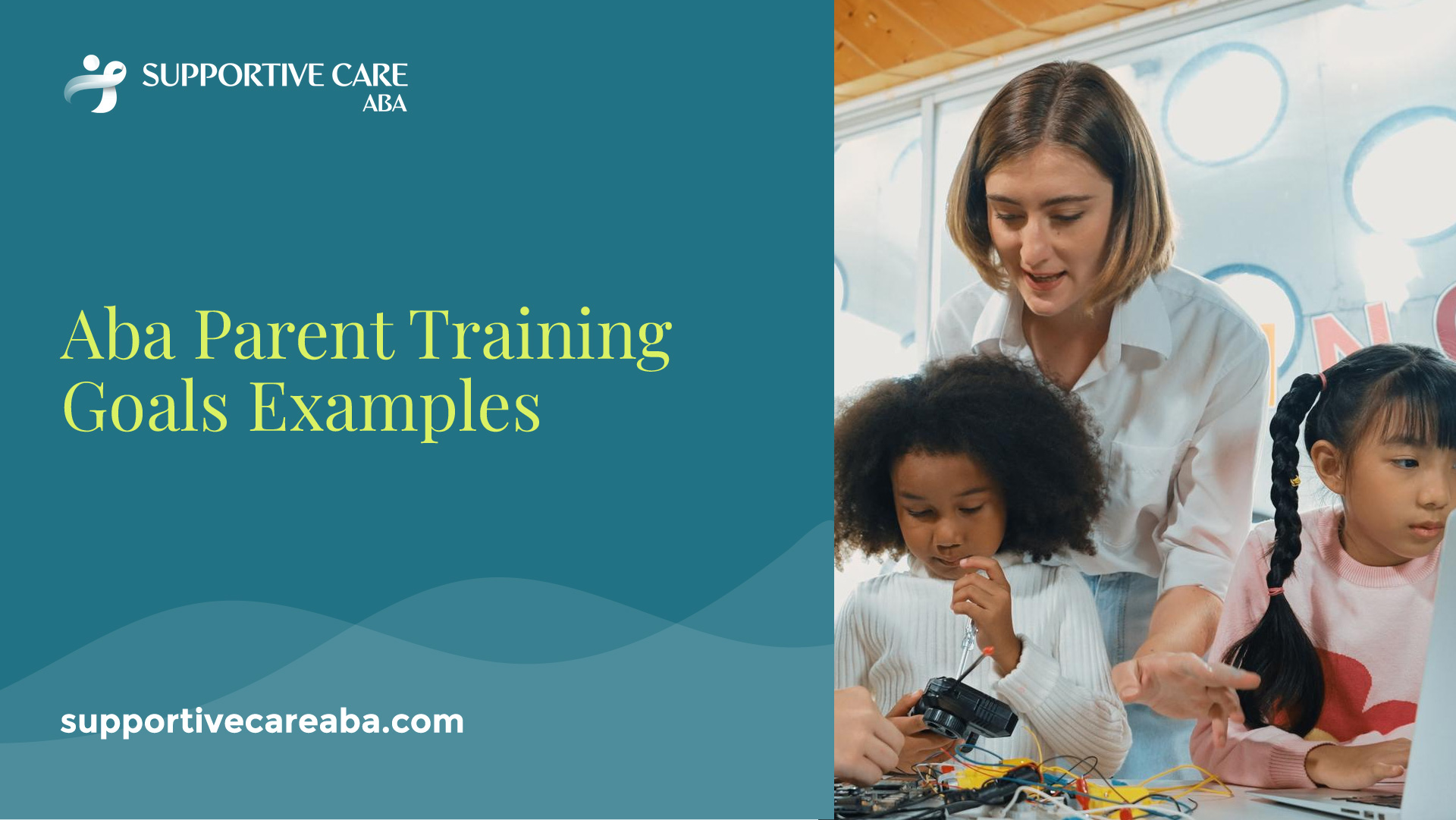 Aba Parent Training Goals Examples